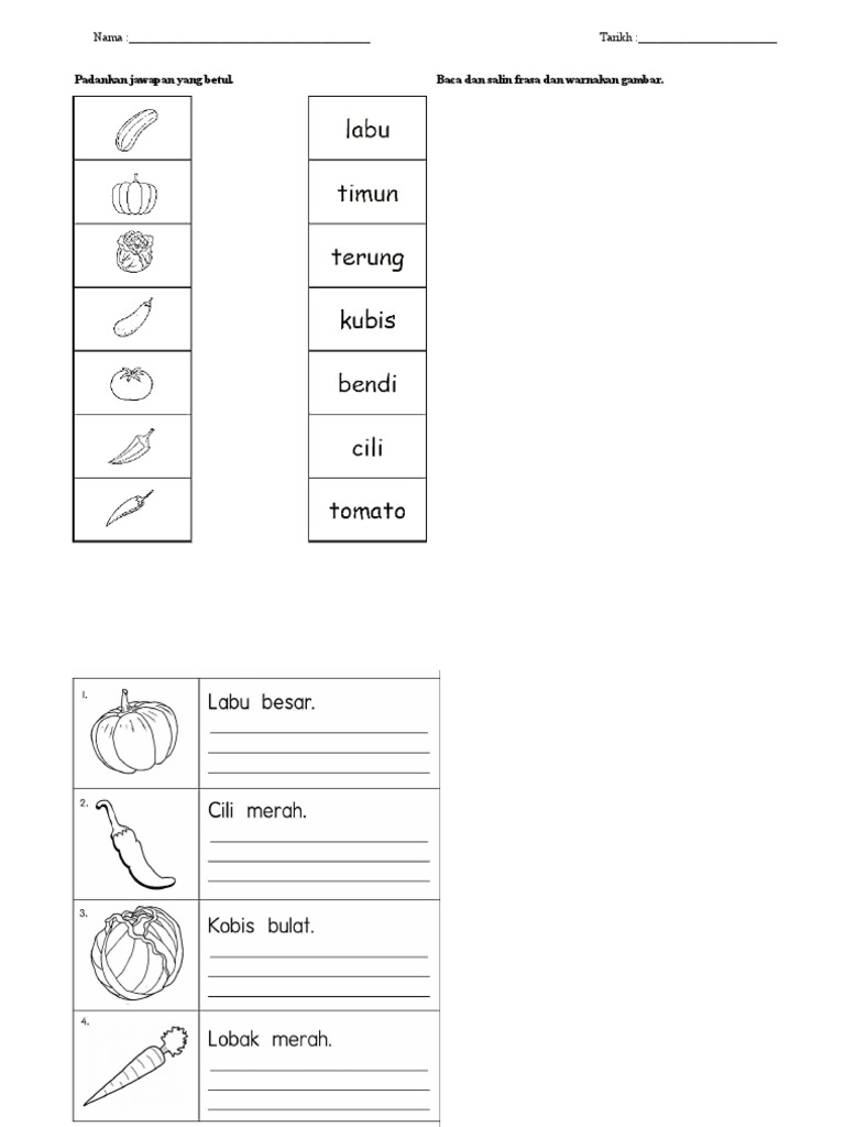 Worksheet Sayuran untuk Anak-anak | PDF