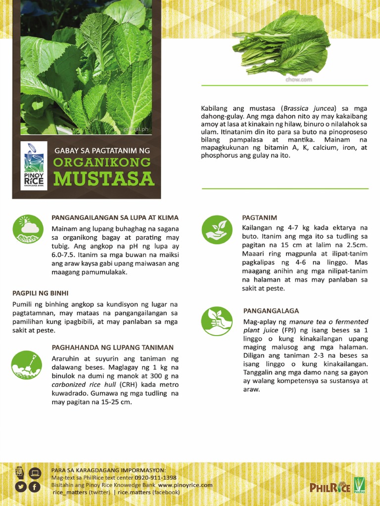 Organikong Mustasa PDF | PDF