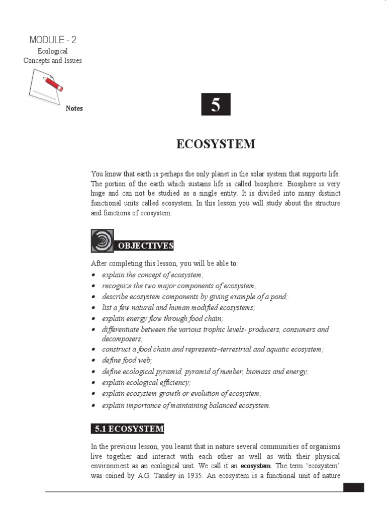 Food Chain & Fooe Web | PDF | Food Web | Ecosystem