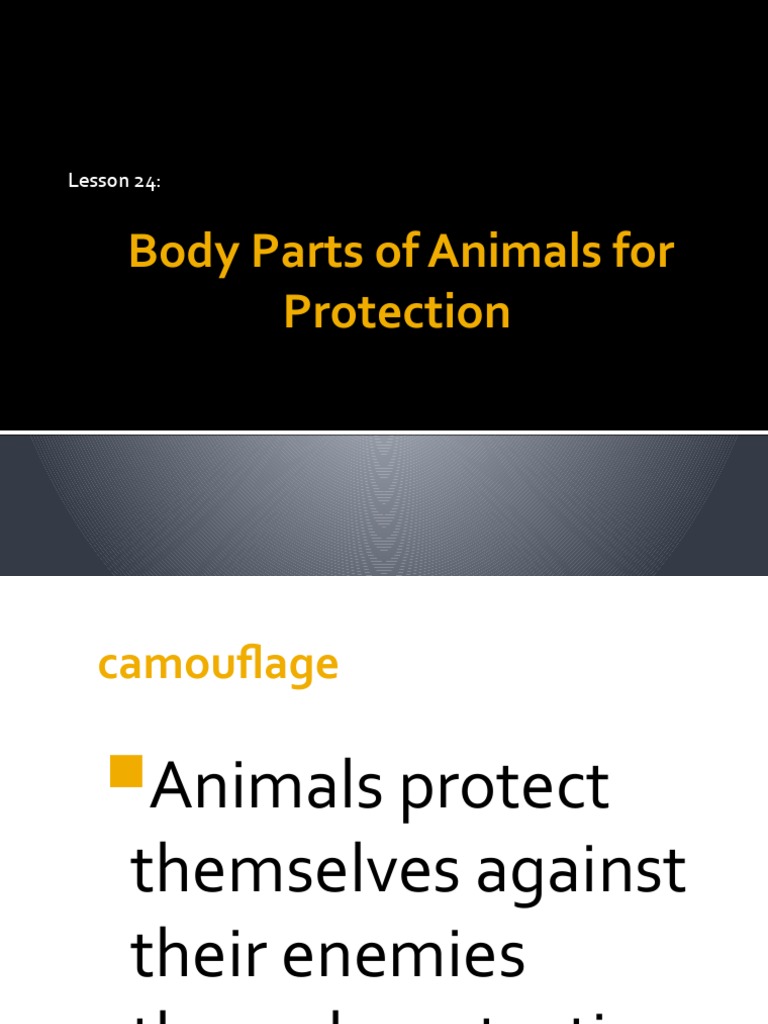 Animal Body Parts for Defense | PDF