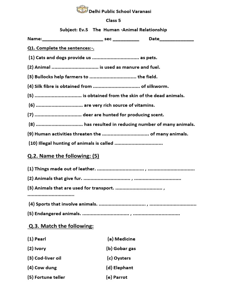 The Human-Animal Relationship Worksheet | PDF
