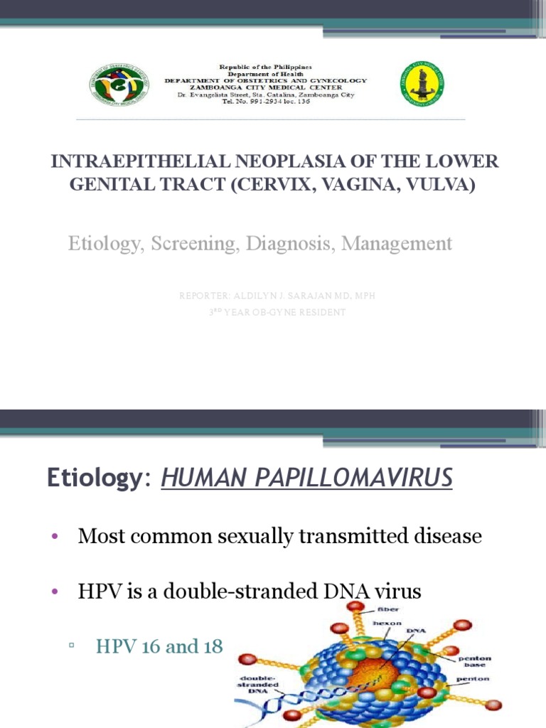 Lower Genital Tract Neoplasia Overview | PDF | Cervical Cancer | Neoplasms