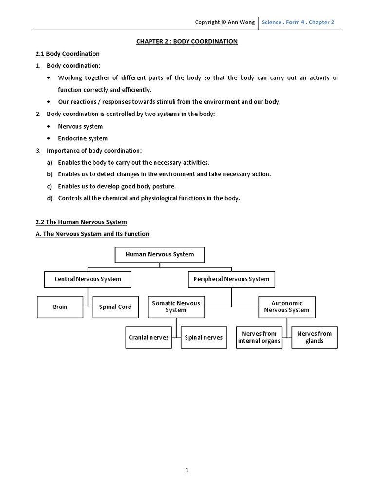 Chapter 2: Body Coordination 2.1 Body Coordination | PDF | Nervous ...