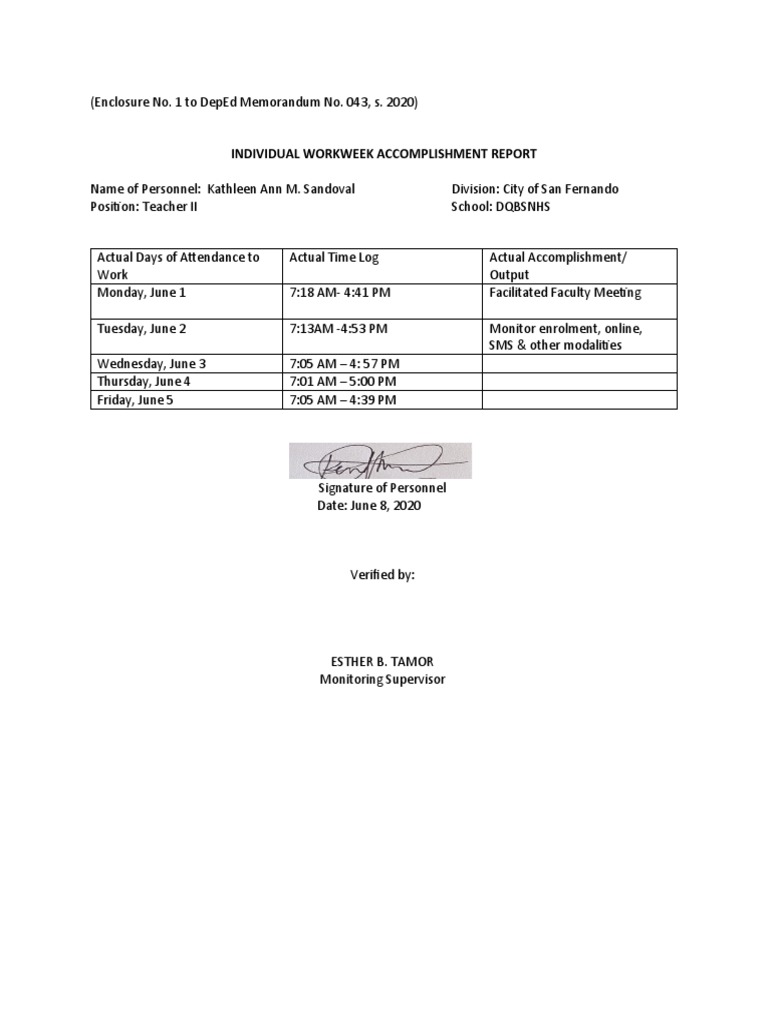 Individual Workweek Accomplishment Report | PDF