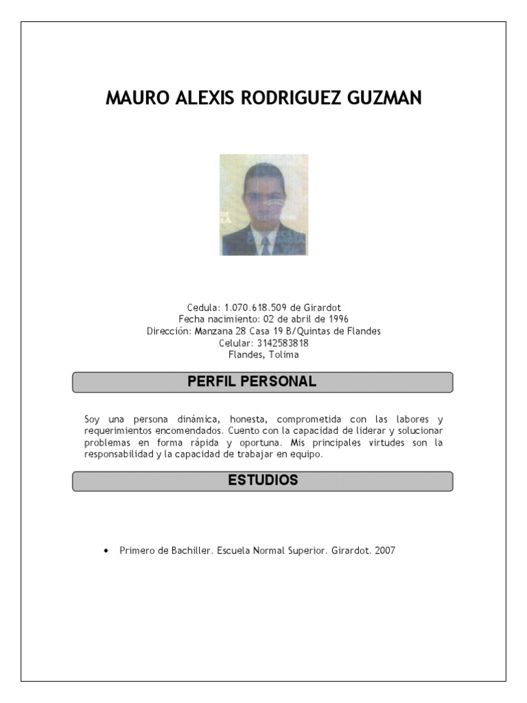 CV Mauro | PDF