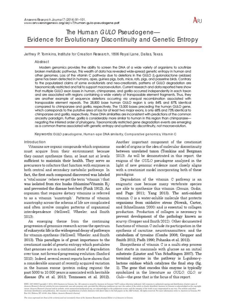 Human Gulo Pseudogene | Download Free PDF | Gene | Evolution