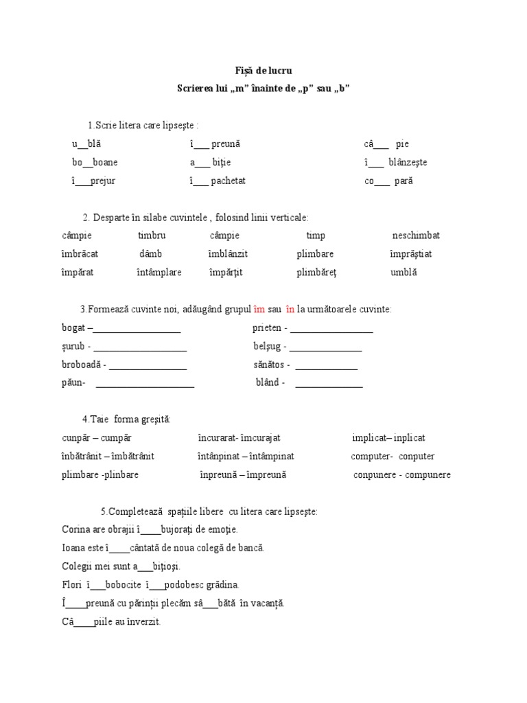 Fisa de Lucru MP MB | PDF