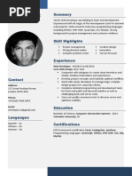 CV Template Modified | PDF