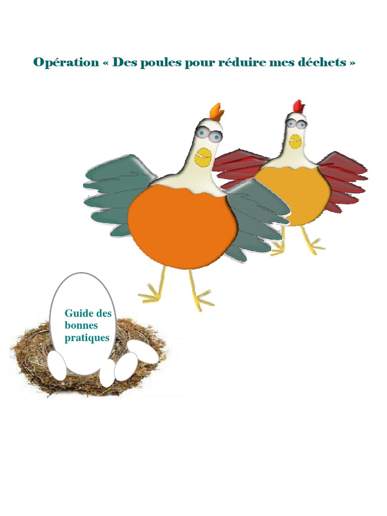 Guide pratique pour élever des poules | PDF | Poulet | Repas
