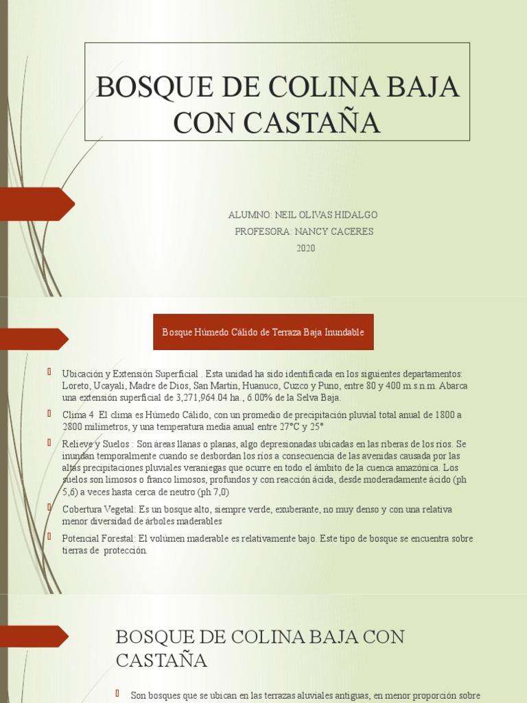 Bosque de Colina Baja en Perú | PDF | Los bosques | Organismos