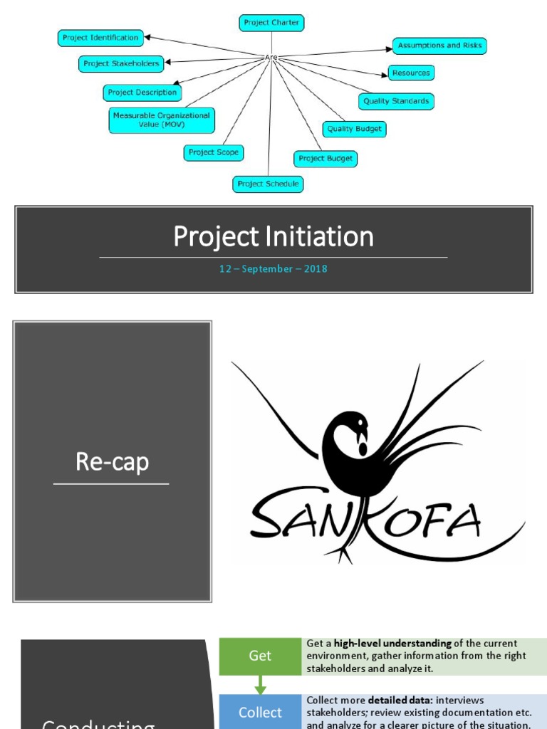 Project Initiation | PDF | Needs Assessment | Governance