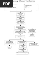 UTI Pathophysiology Flowchart | PDF | Urinary Tract Infection | Urinary ...