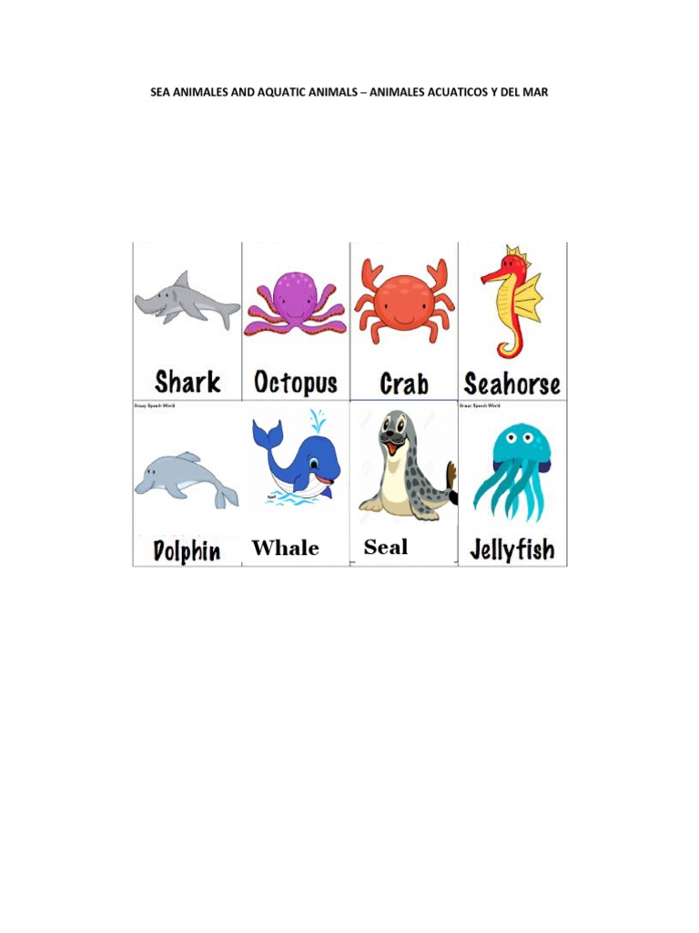 Sea Animals: Whales and Seals Guide | PDF