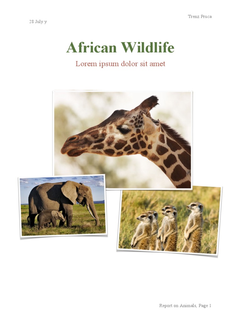 African Wildlife Report | PDF