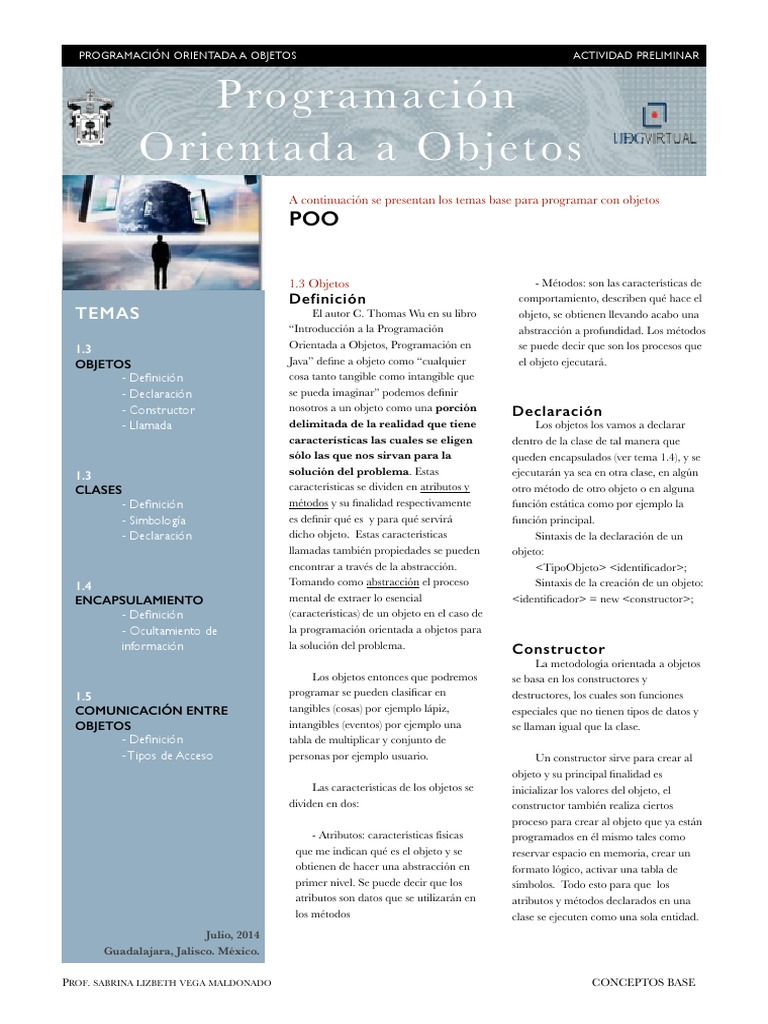 Programacion Orientada A Objetos | PDF | Objeto (informática ...