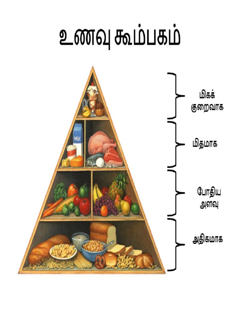 Piramid Makanan | PDF