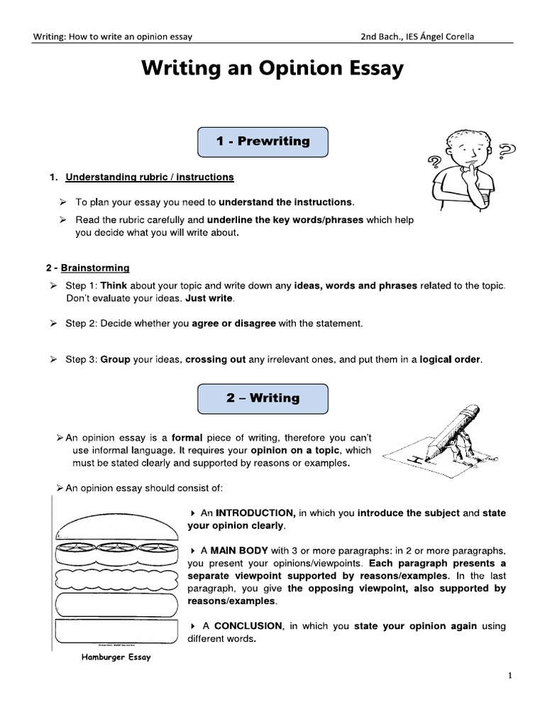 How To Write An Opinion Essay | PDF