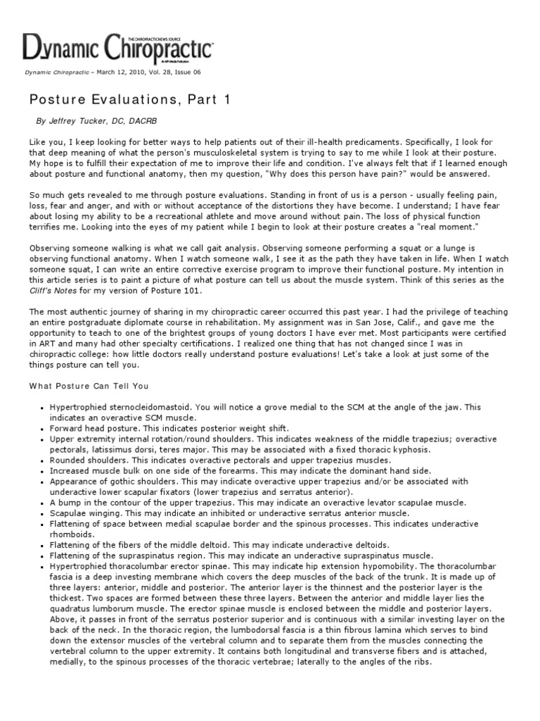 Posture Evaluation | Download Free PDF | Shoulder | Anatomical Terms Of ...