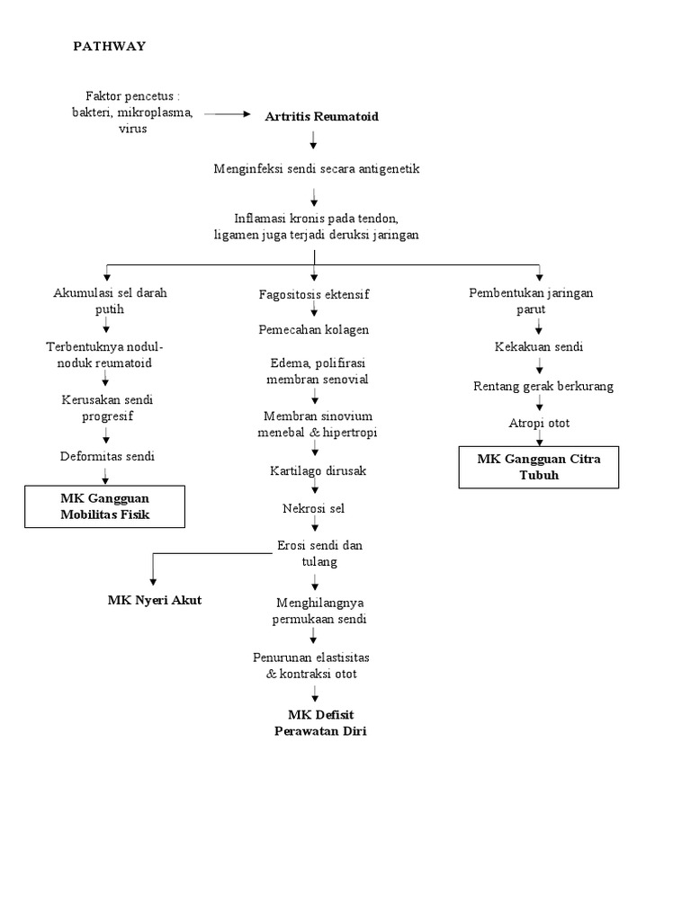 Pathway Artritis Kelompok 3 | PDF