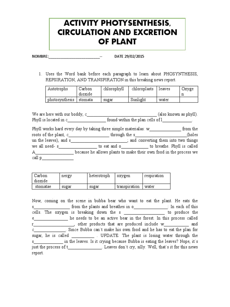 Breaking News Report: The Vital Processes of Photosynthesis ...
