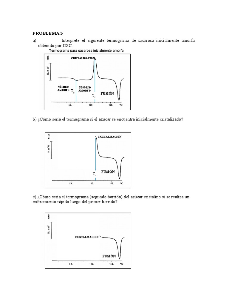 Guia N°2 - Transiciones | PDF