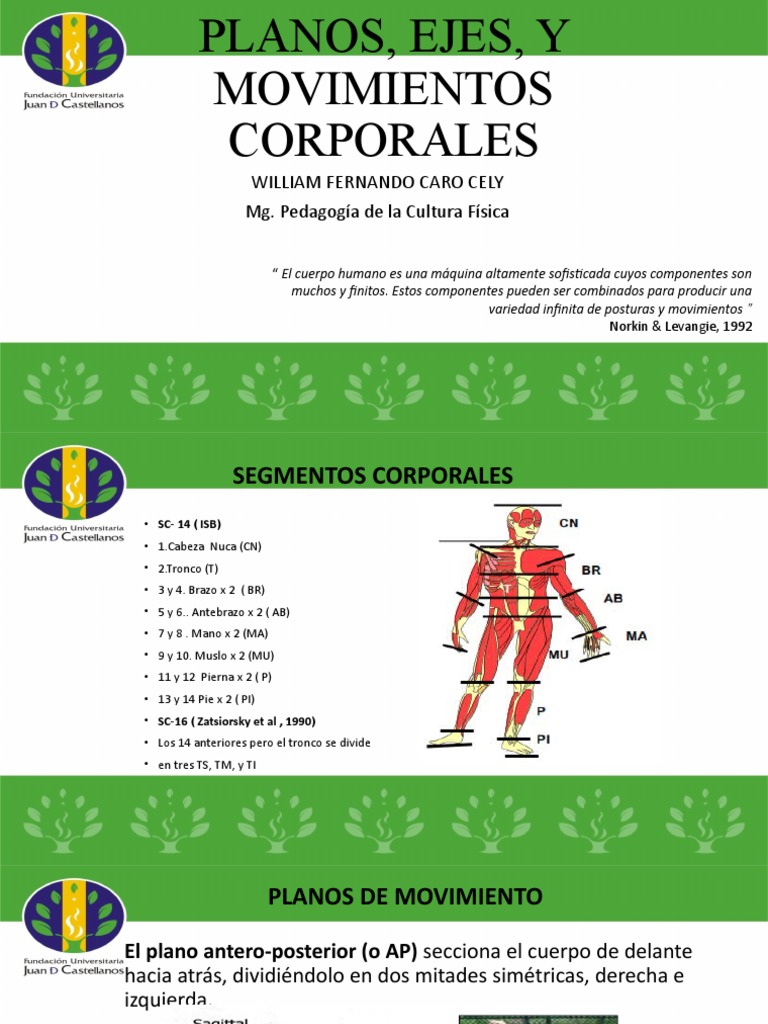 Planos, Ejes y Segmentos Corporales | PDF | Rotación | Codo