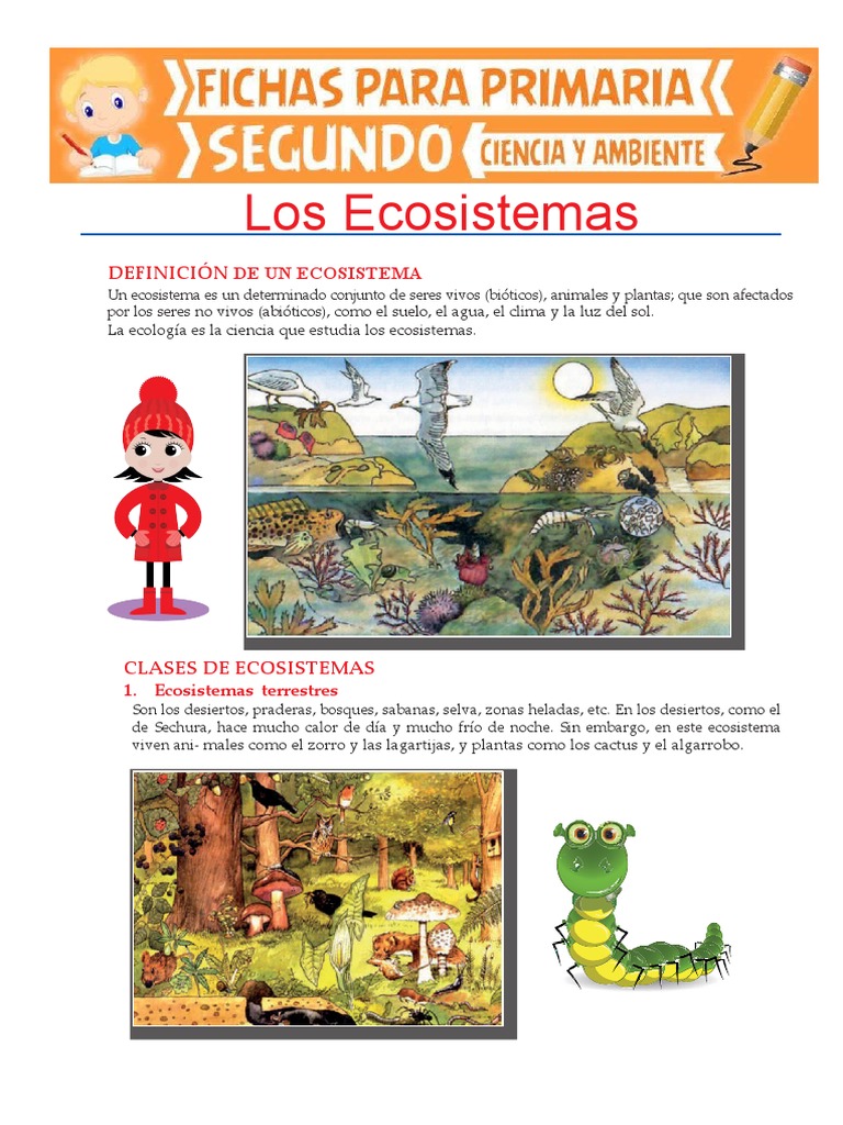 Los Ecosistemas para Segundo de Primaria | Descargar gratis PDF | Ecosistema | Organismos