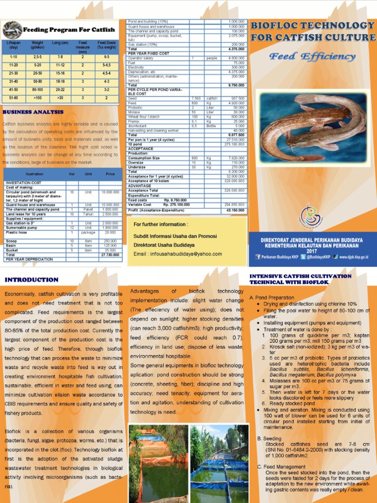 1 Leaflet Biofloc Technology For Catfish PDF | PDF