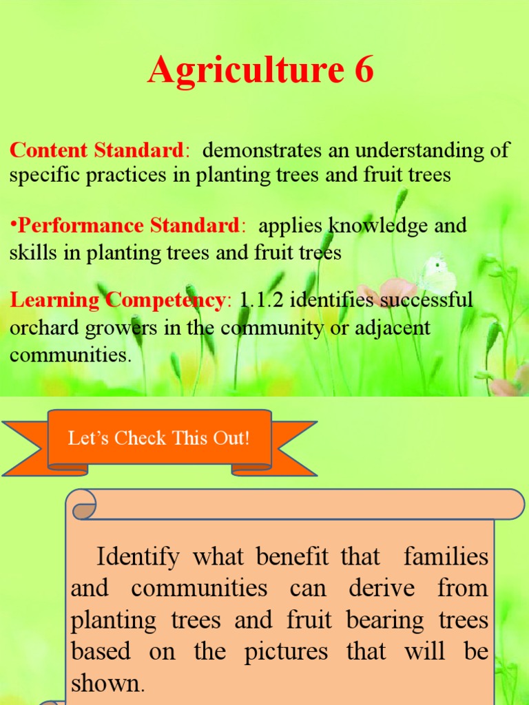 Successful Orchard Growers PPT by ANA LORENA P. BAUTISTA | PDF | Food Industry | Agriculture