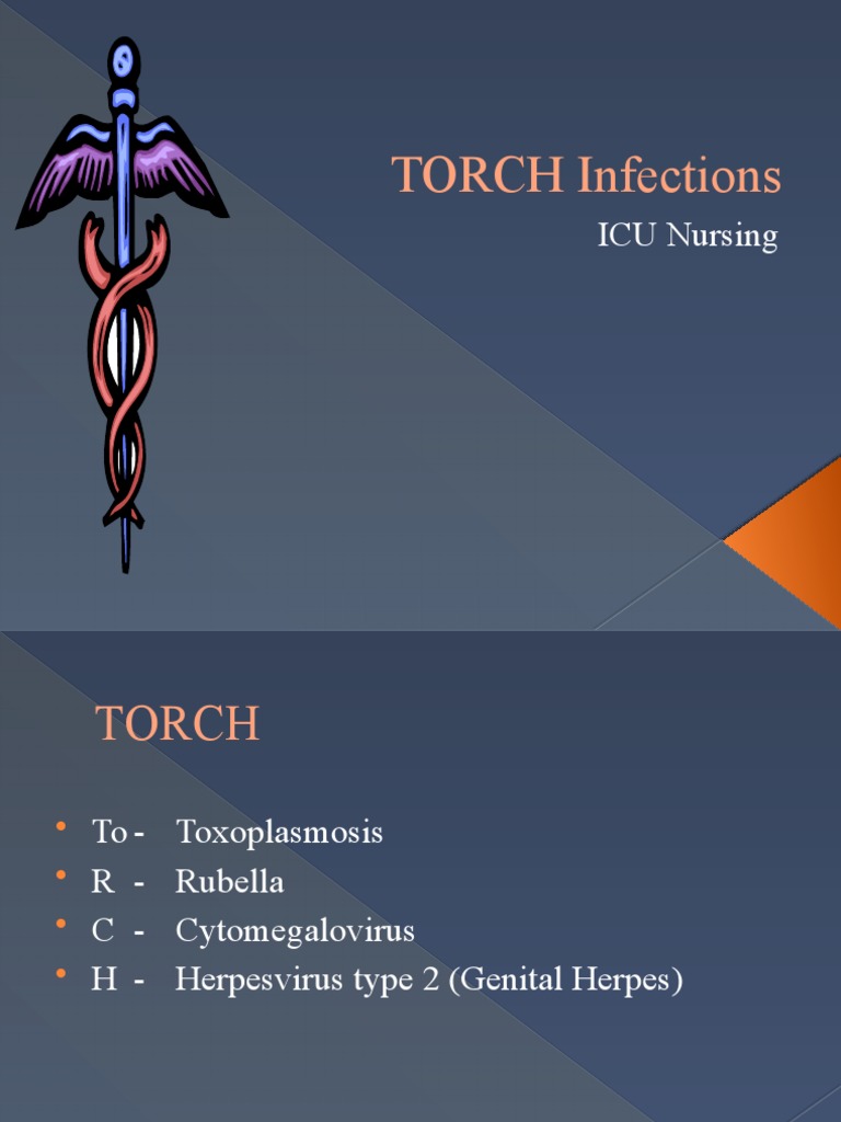 Understanding TORCH Infections in Pregnancy | PDF | Pregnancy | Public ...