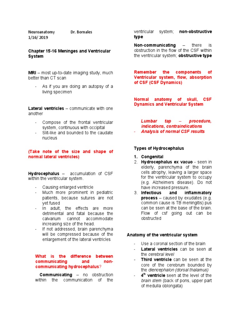Lumbar Tap - Procedure, Indications, Contraindications - Analysis of ...