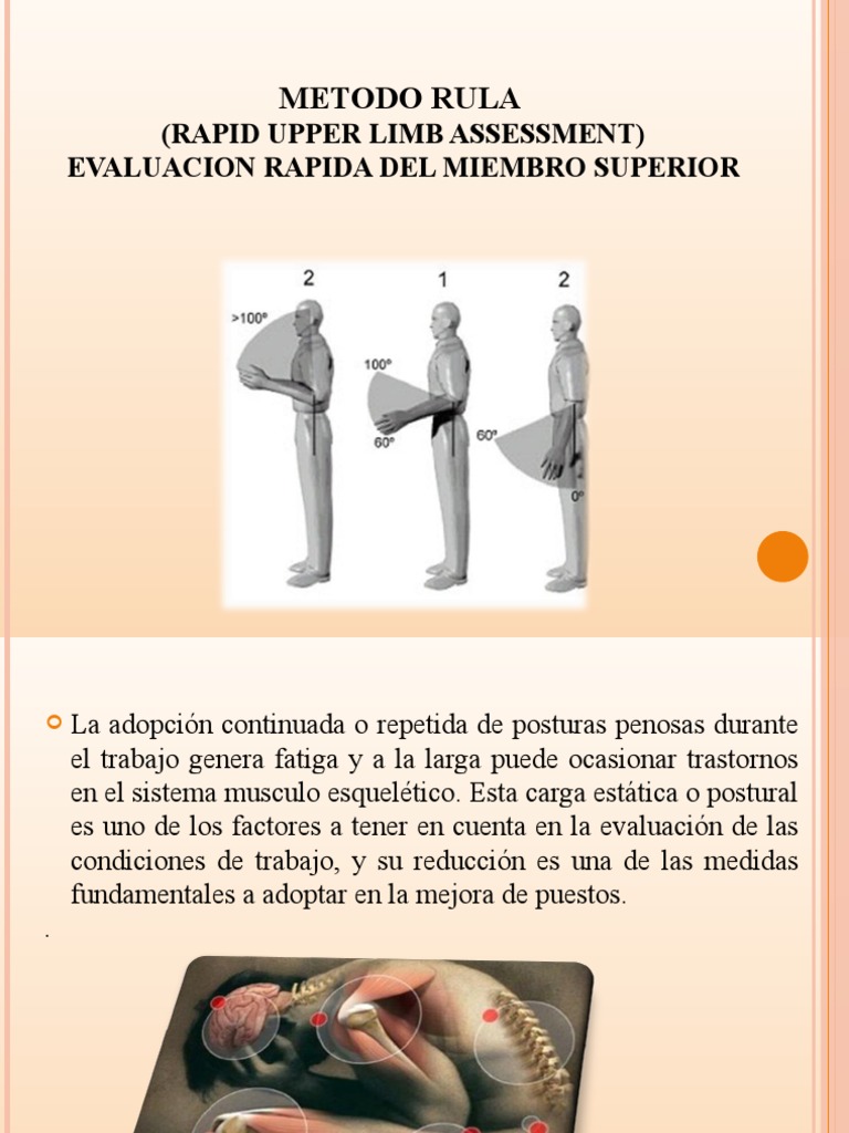 Clase 9 Metodo Rula | Descargar gratis PDF | Músculo | Fuerza