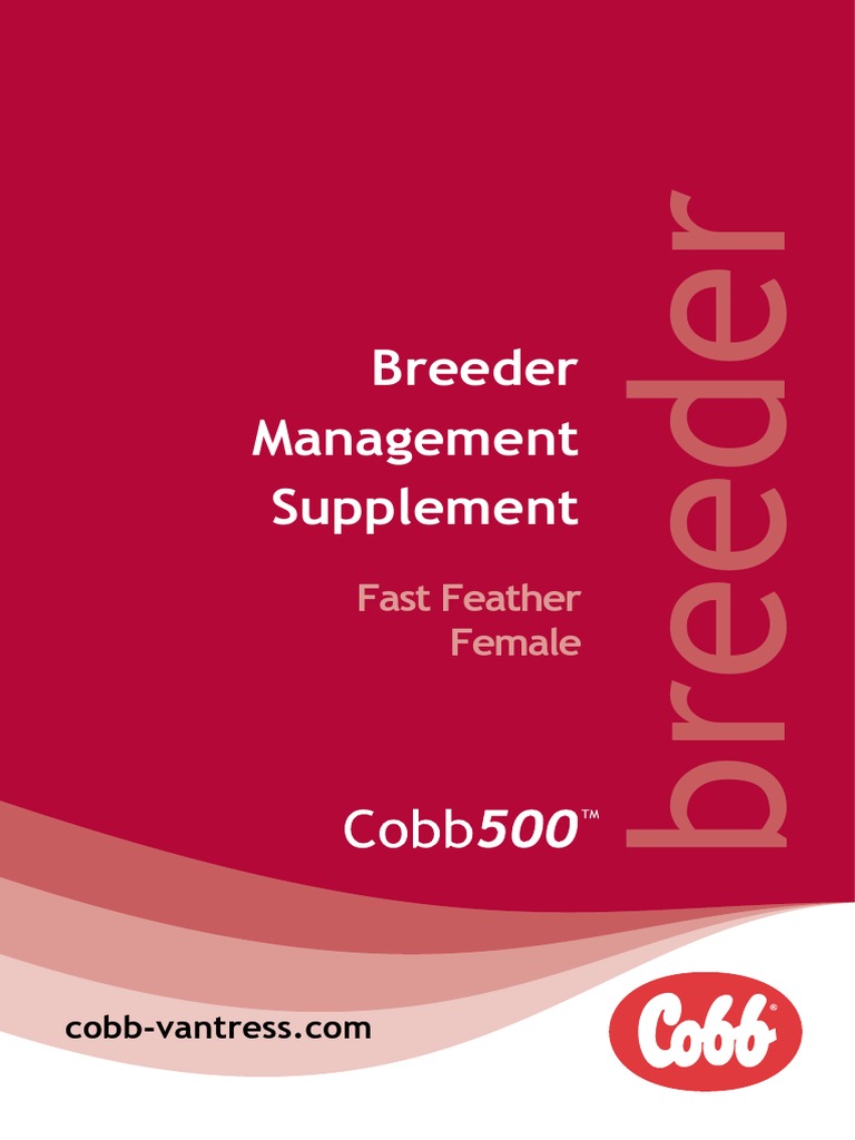 Cobb 500 Breeder Management Guide 2023 | PDF | Chicken | Natural Products
