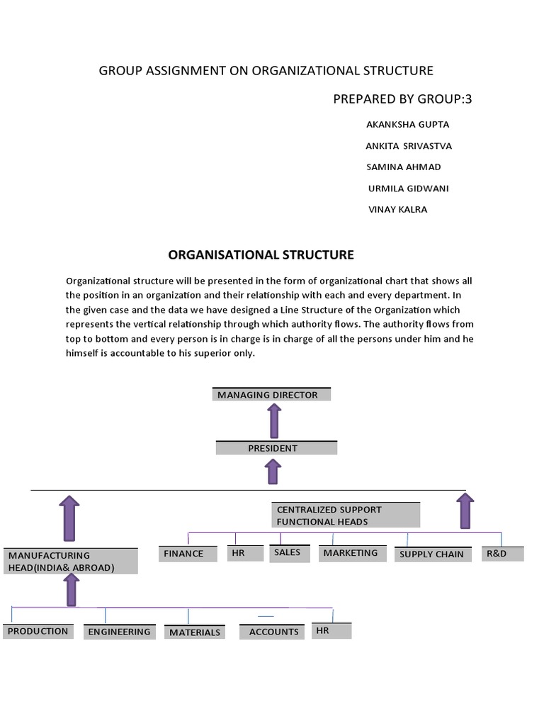 Group Assignment On Organizational Structure Prepared by Group:3 | PDF