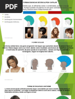 Corte de Cabello a 90 Grados: Guía Paso a Paso | PDF | Pelo