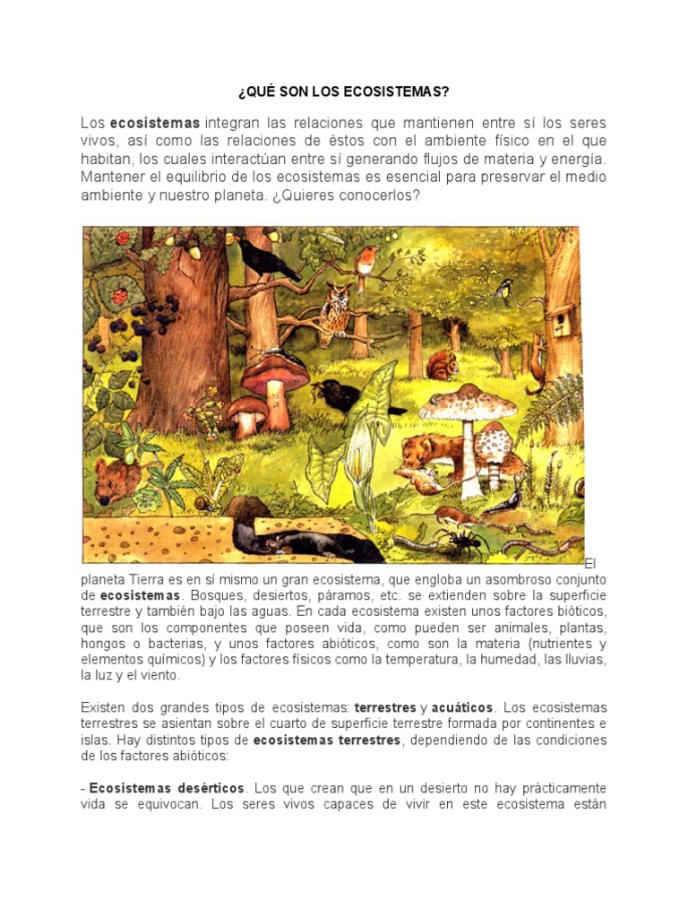Qué Son Los Ecosistemas | PDF | Ecosistema | Organismos