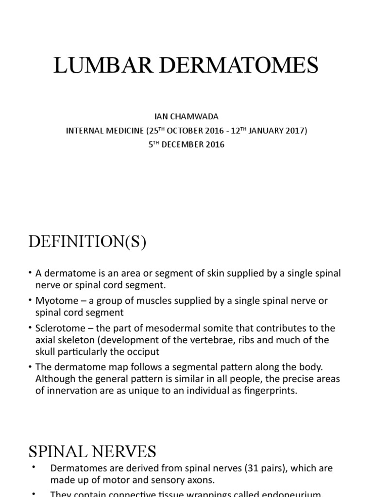 Lumbar Dermatomes | PDF | Vertebral Column | Spinal Cord