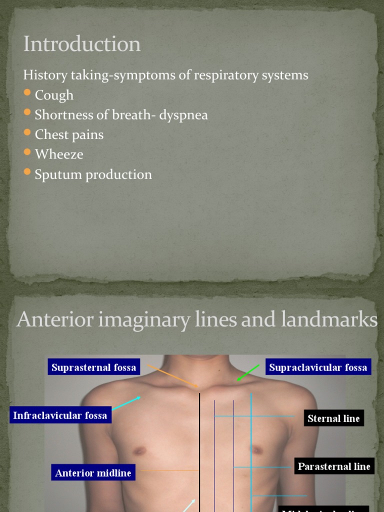 Respiratory System Examination Guide | PDF | Lung | Thorax