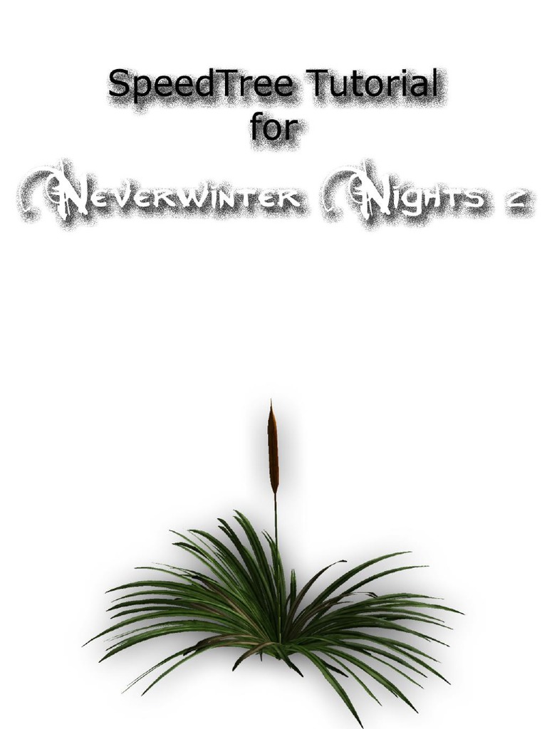 Speedtree Tutorial For NWN2 | PDF | Computer File | Zip (File Format)