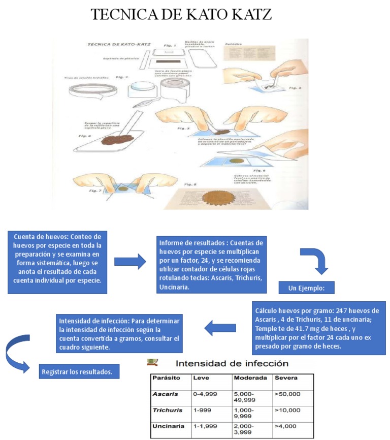 Tecnica de Kato Katz | PDF