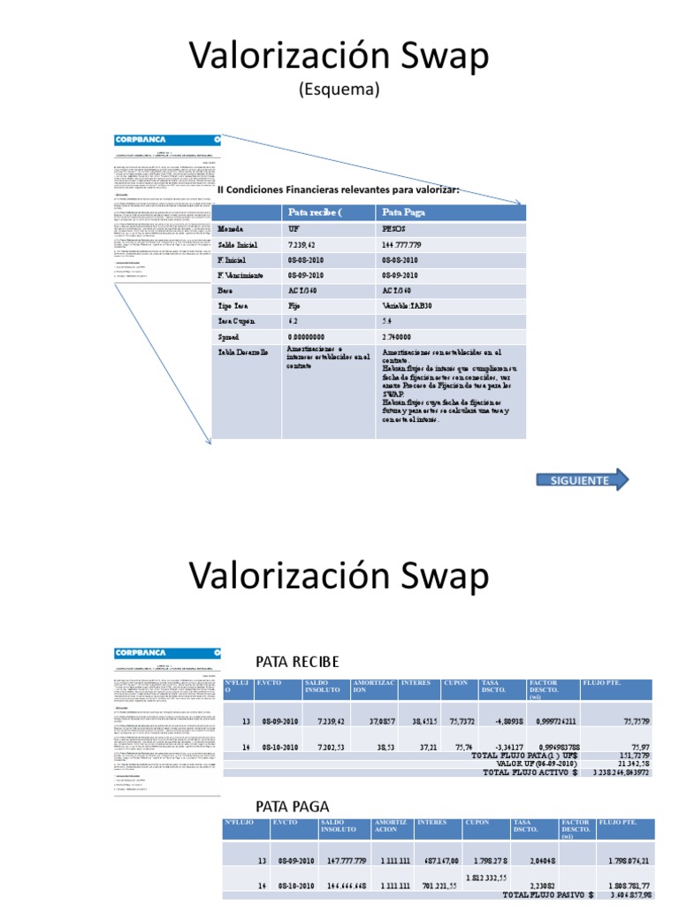03 Manual Valorización de Derivados Swap | PDF | Swap (Finanzas ...