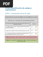 Tablas RULA | PDF | Factores humanos y ergonomía | Science