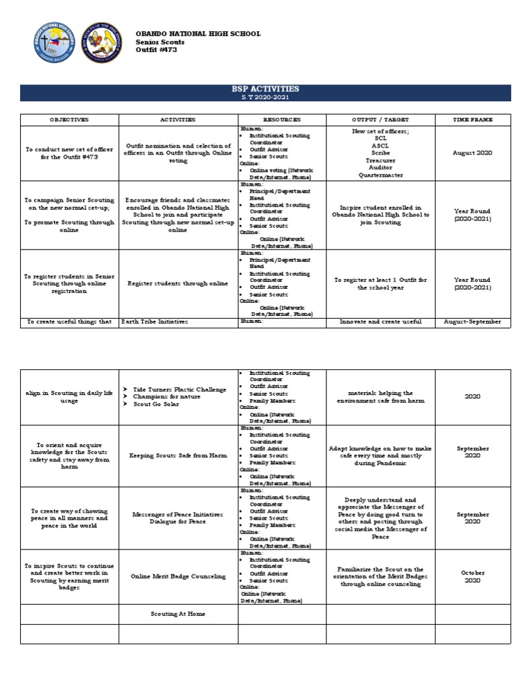 Action Plan in Scouting | PDF | Internet | Communication