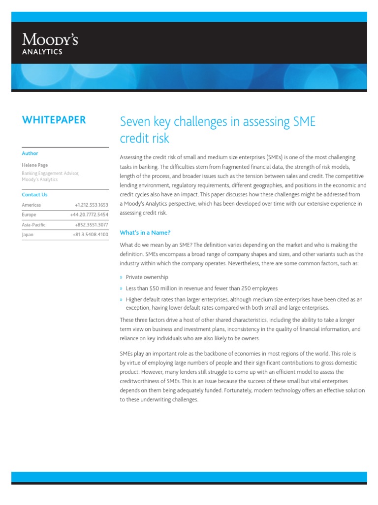 Seven Key Challenges in Assessing SME Credit Risk: Whitepaper | PDF ...