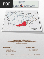 Hyfran - Plus Guide Utilisateur | PDF | Loi de probabilité | Logarithme