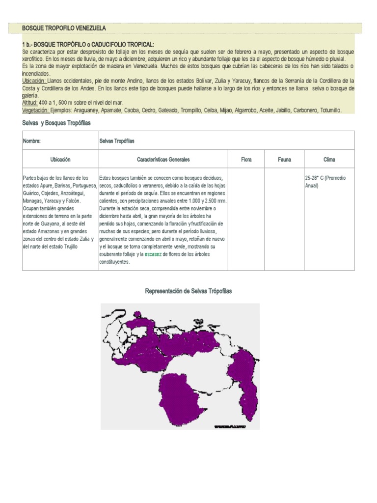 Bosque Tropofilo Venezuela | PDF | Selva | Los bosques