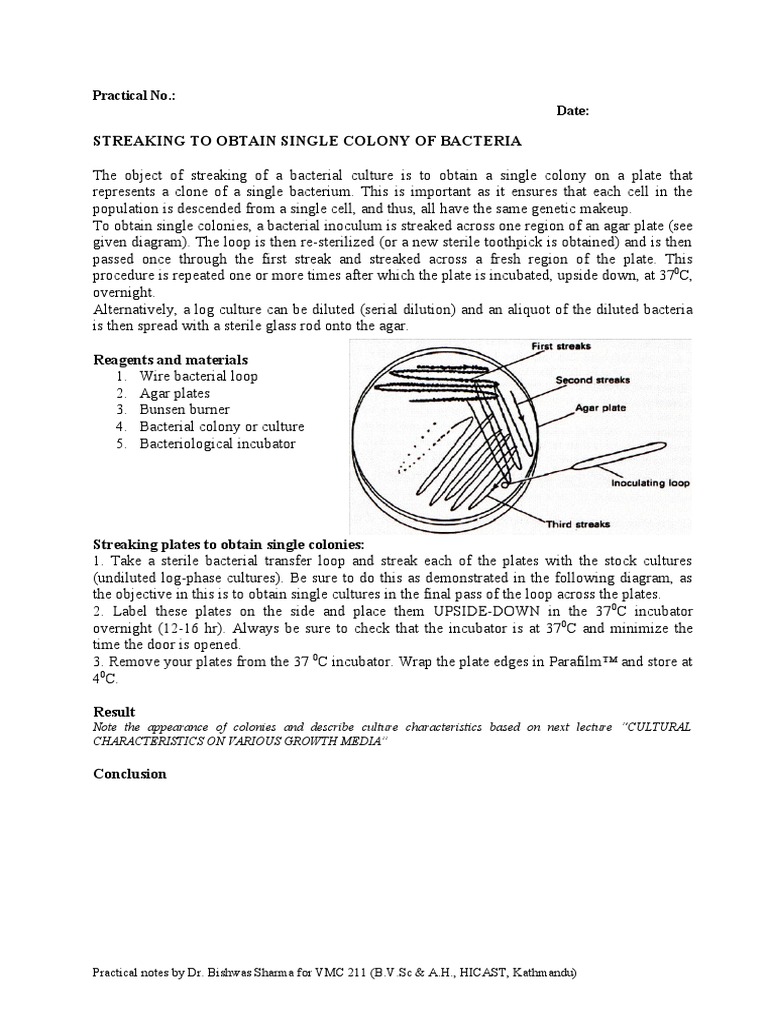Streaking To Obtain Single Colony of Bacteria: Practical No.: Date ...