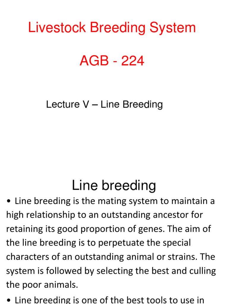 Lecture-V.Line Breeding | PDF | Inbreeding | Selective Breeding