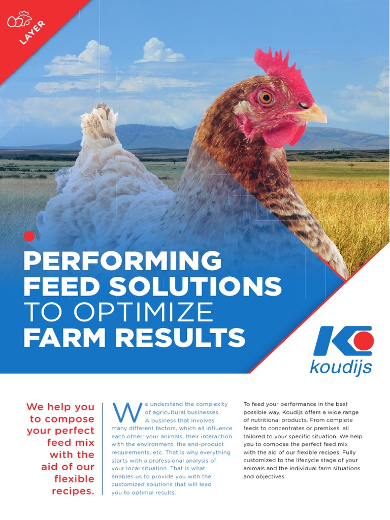 Performing Feed Solutions To Optimize Farm Results | PDF | Farms | Poultry