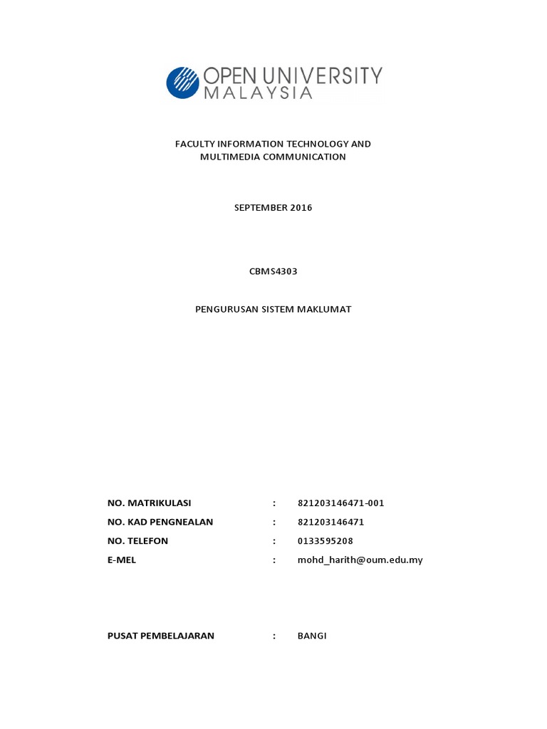 Mis-Cbms4303 Final | PDF